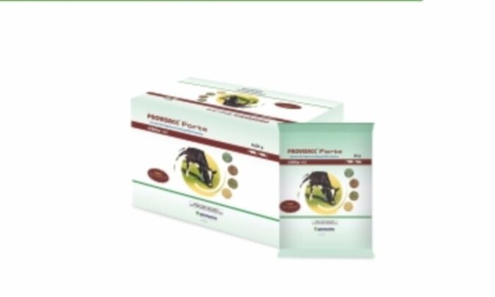 Provisacc Forte Uses, Benefits, Price, Dose, And Composition ...